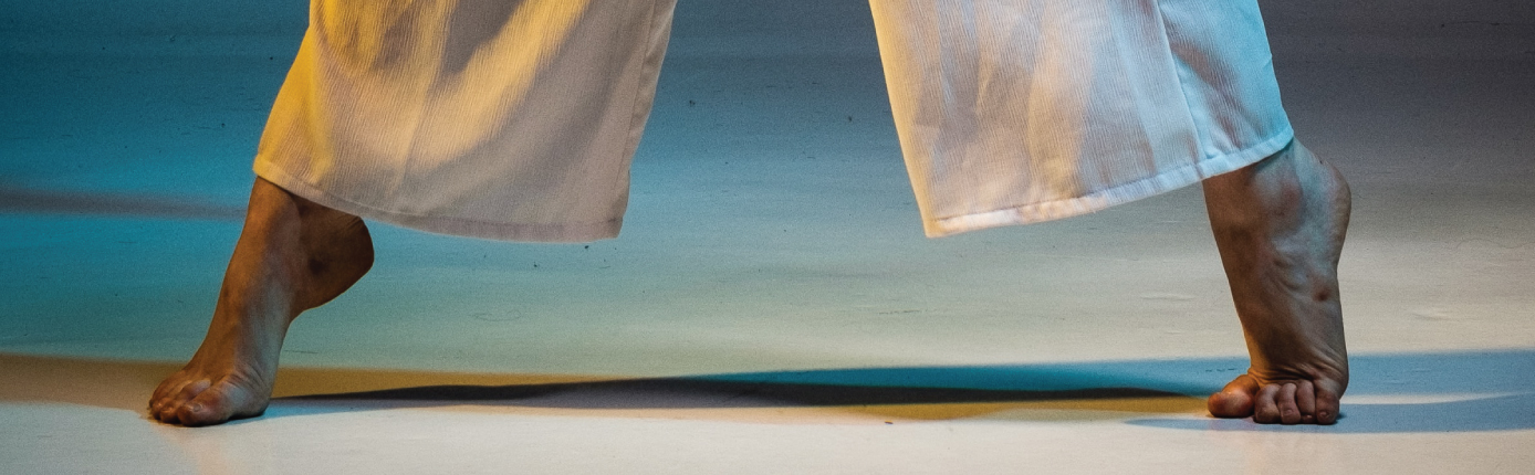 Eurythmie – Freie Waldorfschule Schopfheim e.V.